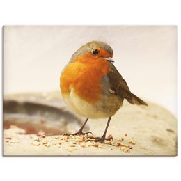 Artland Leinwandbild &raquo;Rotkehlchen&laquo; V&ouml;gel 1 Stk. tlg. auf Holzrahmen gespannt braun Leinwand B/H/T: 60cm x 45cm, Leinwandbild V&ouml;gel Querformat, 1 Stk.