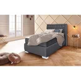 LEONIQUE Boxspringbett &raquo;Rumba&laquo; Taschenfederkern-Matratze in H&auml;rtegrad 3, in 4 Breiten, incl. Topper grau Samtoptik (100% Polyester) Liegefl&auml;che B/L: 90cm x 