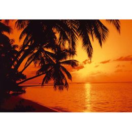 papermoon Fototapete &raquo;Tropic Sunset&laquo; glatt bunt Vlies B/L: 2,5m x 1,86m, Bahnen: 5 Stk.
