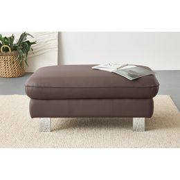 COTTA Hocker &raquo;Driver&laquo; mit edlen Metallf&uuml;&szlig;en braun 100% Echtleder B/H/T: 101cm x 46cm x 65cm, Leder PAMPAS