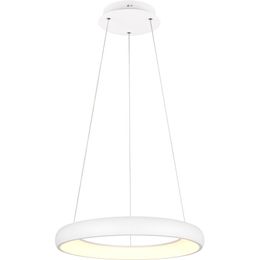 Trio Leuchten LED Pendelleuchte &raquo;CARDONA, LED Ring H&auml;ngeleuchte, 4400 Lumen 38W, Lichtfarbe einstellbar&laquo; LED-Board 1 Stk. warmwei&szlig; - kaltwei&szlig; 2300/
