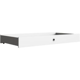 wimex Bettschubkasten &raquo;Borkum&laquo; f&uuml;r extra Strauraum wei&szlig; Holzwerkstoff B/H/T: 71cm x 17cm x 137cm