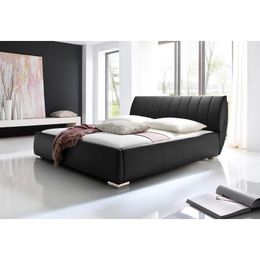 Meise M&ouml;bel meise.m&ouml;bel Polsterbett &raquo;Luna&laquo; mit Lattenrost und Bettkasten schwarz Bezug Bett: Kunstleder Liegefl&auml;che L&auml;nge B: 200cm x 180cm, Kunstleder, H&ouml;he 