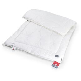 Stendebach Kunstfaserbettdecke &raquo;Climacozy Bettdecke, Allergiker geeignet (Hausstauballergiker)&laquo; 4-Jahreszeiten F&uuml;llung 100% Polyester 1 Stk. tlg. Bettdecke in 