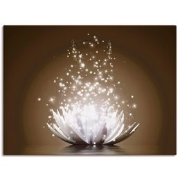 Artland Wandbild &raquo;Magie der Lotus-Blume&laquo; Blumen 1 Stk. tlg. als Leinwandbild, Poster in verschied. Gr&ouml;&szlig;en braun Leinwand B/H/T: 80cm x 60cm, Leinwandbild 