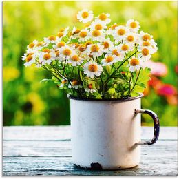 Artland Glasbild &raquo;Fr&uuml;hlingsgarten mit Echter Kamille&laquo; Blumen 1 Stk. tlg. in verschiedenen Gr&ouml;&szlig;en gr&uuml;n B/H/T: 50cm x 50cm, Glasbild Blumen, 1 Stk.