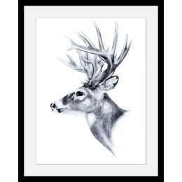 queence Bild &raquo;Hirsch&laquo; Hirsch Hirschbilder Schwarz-Wei&szlig; Tiere Wildtiere HD Premium Poster-Druck inkl. Holzrahmen schwarz Acrylglas, Holz, Papier B/H/T: