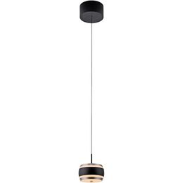 Neuhaus PURE LED Pendelleuchte &raquo;PURE Falling Rings&laquo; LED-Board 1 Stk. warmwei&szlig; - kaltwei&szlig; Comfort Lift, CCT, dimmbar, Fernbedienung, Timer schwarz 1, H