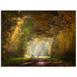 Artland Glasbild &raquo;Licht am Ende des Tunnels...&laquo; Wald 1 Stk. tlg. in verschiedenen Gr&ouml;&szlig;en gr&uuml;n B/H/T: 60cm x 45cm, Glasbild Wald Querformat, 1 Stk.