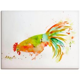 Artland Leinwandbild &raquo;Hahn&laquo; V&ouml;gel 1 Stk. tlg. auf Holzrahmen gespannt wei&szlig; Leinwand B/H/T: 80cm x 60cm, Leinwandbild V&ouml;gel Querformat, 1 Stk.
