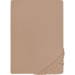 Biberna Spannbettlaken &raquo;THEA Baumwoll-Jersey mit Elasthan, 160 g/m&sup2;&laquo; Bettlaken f&uuml;r Matratzen bis 25 cm H&ouml;he, pflegeleicht, b&uuml;gelfrei braun Jersey-Elasthan, 