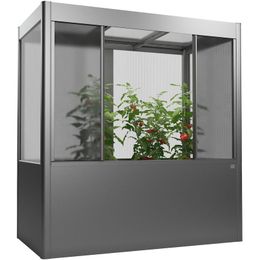 BioHort Gew&auml;chshaus &raquo;Florentina Gr. 2x1 MAXI, verschiedene Farben&laquo; Kompaktes Gew&auml;chshaus f&uuml;r hochwachsende Pflanzen B/H/T: 201,6cm x 213,4cm x 103,1cm