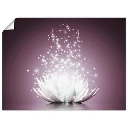 Artland Wandbild &raquo;Magie der Lotus-Blume&laquo; Blumen 1 Stk. tlg. als Leinwandbild, Poster in verschied. Gr&ouml;&szlig;en lila B/H/T: 80cm x 60cm, Poster Blumen Querformat, 1