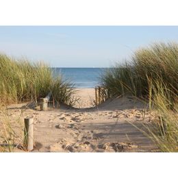 papermoon Fototapete &raquo;Dunes in Dorset&laquo; glatt bunt Vlies B/L: 5m x 2,8m, Bahnen: 10 Stk.