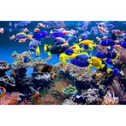 papermoon Fototapete &raquo;Aquarium&laquo; glatt bunt Vlies B/L: 3m x 2,23m, Bahnen: 6 Stk.