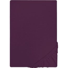Spannbettlaken &raquo;Jersey in Gr. 90x200, 140x200 oder 180x200 cm&laquo; aus Baumwolle, f&uuml;r Matratzen bis 22 cm H&ouml;he, Bettlaken, Spannbetttuch lila Jersey, 