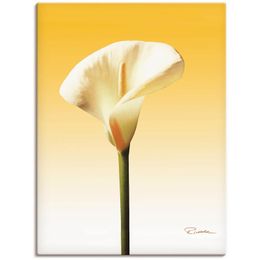 Artland Leinwandbild &raquo;Sonnenschein Calla II&laquo; Blumenbilder 1 Stk. tlg. auf Holzrahmen gespannt gelb Leinwand B/H/T: 30cm x 40cm, Leinwandbild Blumenbilder 