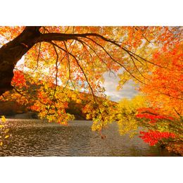 papermoon Fototapete &raquo;Autumn Scenery&laquo; glatt bunt Vlies B/L: 3m x 2,23m, Bahnen: 6 Stk.
