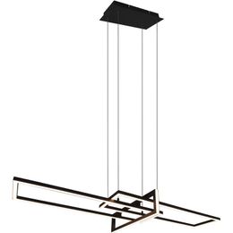Trio Leuchten LED Pendelleuchte &raquo;ALICA&laquo; LED-Modul 1 Stk. Warmwei&szlig; mit Switch Dimmer, &uuml;ber Wandschalter dimmbar, Abh&auml;ngung 150 cm schwarz 1, H: 150cm, 