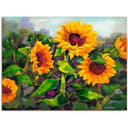 Artland Leinwandbild &raquo;Das Erwachen der Sonnenblumen IV&laquo; Blumen 1 Stk. tlg. auf Holzrahmen gespannt gelb Leinwand B/H/T: 80cm x 60cm, Leinwandbild Blumen 