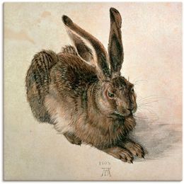 Artland Wandbild &raquo;Junger Feldhase. 1502&laquo; Wildtiere 1 Stk. tlg. als Leinwandbild, Poster in verschied. Gr&ouml;&szlig;en braun Leinwand B/H/T: 70cm x 70cm, Leinwandbild 