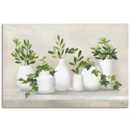 Artland Wandbild &raquo;Plant Life IV&laquo; Vasen & T&ouml;pfe 1 Stk. tlg. als Alubild, Leinwandbild, Poster, Wandaufkleber in verschied. Gr&ouml;&szlig;en gr&uuml;n Leinwand B/H/T: 120cm x 