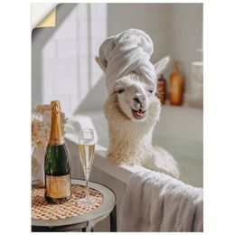 Artland Wandbild &raquo;Lama in der Badewanne&laquo; 1 Stk. tlg. als Alubild, Leinwandbild, Poster, Wandaufkleber in verschied. Gr&ouml;&szlig;en Vinyl B/H/T: 45cm x 60cm, 