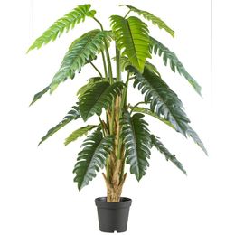 Creativ green Kunstbaum &raquo;Philodendron xanadu&laquo; mit gro&szlig;formatigem Blattwerk gr&uuml;n Kunststoff B/H/L: 195cm, 1 Stk.