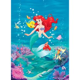 Komar Fototapete &raquo;Ariel Singing - Gr&ouml;&szlig;e 184 x 254 cm&laquo; bedruckt glatt Kinderzimmer bunt Papier B/L: 184m x 254m, Rollen: 4