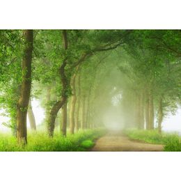 ARCHITECTS PAPER Fototapete &raquo;Into the Mist&laquo; Vlies, Wand, Schr&auml;ge bunt Vlies B/L: 4m x 2,7m