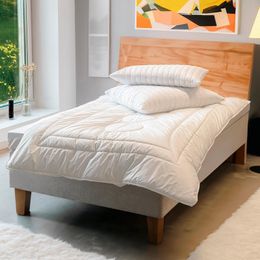 John Cotton Microfaserbettdecke &raquo;Magicline, Bettdecken 135x200 cm, 155x220 cm f&uuml;r Sommer und Winter&laquo; 4-Jahreszeiten F&uuml;llung Polyester 1 Stk. tlg. Bettdecke, edles