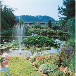 Ubbink Teichpumpe &raquo;ProLine 1000 ECO&laquo; Universalpumpe f&uuml;r den Gartenteich, 870 l/h schwarz Einheitsgr&ouml;&szlig;e