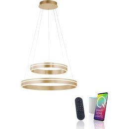 Neuhaus Q SMART HOME LIGHTS LED Pendelleuchte &raquo;Q-VITO&laquo; LED-Board 1 Stk. warmwei&szlig; - kaltwei&szlig; 1, &Oslash; 59cm, 1 Stk.