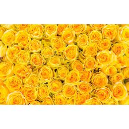 Livingwalls living walls Fototapete &raquo;sonnige Rosen&laquo; glatt Vlies, Wand, Schr&auml;ge gelb Vlies B/L: 4m x 2,5m