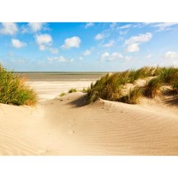 papermoon Fototapete &raquo;Dunes Knokke-Heist&laquo; glatt bunt Vlies B/L: 1,5m x 1,11m, Bahnen: 7 Stk.
