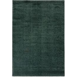 Sch&ouml;ner Wohnen Kollektion SCH&Ouml;NER WOHNEN-Kollektion Teppich &raquo;Pure 250&laquo; rechteckig 21 mm H&ouml;he Indoor, dichter robuster Teppich mit leichtem Glanz, Oeko-Tex gr&uuml;n Polypropylen B :