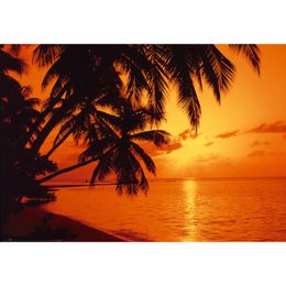 papermoon Fototapete &raquo;Tropic Sunset&laquo; glatt bunt Vlies B/L: 3,5m x 2,6m, Bahnen: 7 Stk.