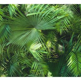 Livingwalls living walls Vliestapete &raquo;Neue Bude 2.0&laquo; botanisch floral tropisch glatt Floral Tapete Palmen Tapeten Wohnzimmer Schlafzimmer Flur Design Optik gr&uuml;n 
