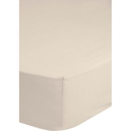 Good Morning Spannbettlaken &raquo;Jersey Spannbettlaken&laquo; 100% Baumwolle, Jersey, Rundumgummi, bis 25 cm h&ouml;he, 90/100x200, Wei&szlig; beige Jersey, Obermaterial: 