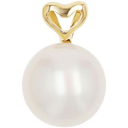Amor Damen Kettenanh&auml;nger &raquo;2039187&laquo; mit S&uuml;&szlig;wasserzuchtperle gold Gelbgold 375 Perlen, 0,82 g