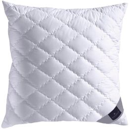 Billerbeck Synthetikkopfkissen &raquo;520 ALCANDO , Kissen bauschkr&auml;ftig&laquo; F&uuml;llung: AIRFLOCKS ; 70% Polyester, 30% Lyocell (Tencel); 1 Stk. tlg. Die 