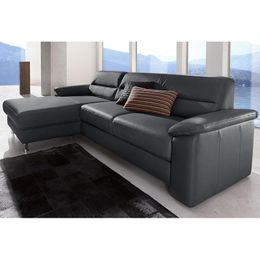 Sit & More sit&more Ecksofa &raquo;Ascara L-Form&laquo; inklusive Boxspring/Federkern-Polsterung, wahlweise mit Schlaffunktion schwarz NaturLEDER (echtes Rindsleder), Korpus