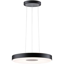 Paulmann Pendelleuchte &raquo;Puric Pane&laquo; 1 Stk. Warmwei&szlig; Schwarz, Grau, dimmbar schwarz 1, &Oslash; 40cm, 1 Stk.