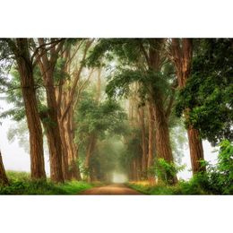 ARCHITECTS PAPER Fototapete &raquo;Acacias the Mist&laquo; Vlies, Wand, Schr&auml;ge bunt Vlies B/L: 4m x 2,7m