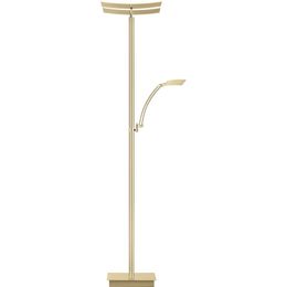 HELL h&ouml;llisch gutes Licht LED Stehlampe &raquo;ANDY&laquo; LED-Modul 1 Stk. warmwei&szlig; - kaltwei&szlig; Tastdimmer, CCT gold 3, H: 185cm, 1 Stk.,mit Lesearm