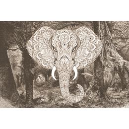 ARCHITECTS PAPER Fototapete &raquo;Atelier 47 Elephant Head 1&laquo; orientalisch glatt Vlies, Wand, Schr&auml;ge, Decke bunt Vlies B/L: 4m x 2,7m