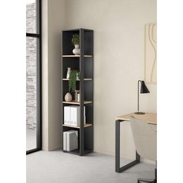 Home Affaire Regal &raquo;Sign Ablageregal, Aktenregal, B&uuml;cherregal, Standregal, Wandregal,&laquo; schmal mit 4 Einlegeb&ouml;den, zu 2 Seiten offen, Eckregal grau 