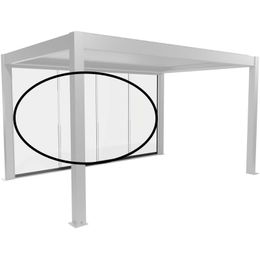 BioHort Glasschiebet&uuml;r &raquo;Klarglas Gr. 4,5 m f&uuml;r Pergola, verschiedene Farben&laquo; 420x 234,9 cm, Glaselemente aus 10 mm ESG transparent Glas, Stahl 234,9cm, 420cm