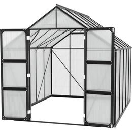 Vitavia Gew&auml;chshaus &raquo;Domus 8300&laquo; mit Doppelschwingt&uuml;ren und bodentiefer T&uuml;rschwelle, 4 mm Hohlkammer schwarz B/H/T: 257cm x 253,9cm x 325cm
