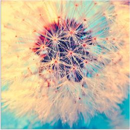 Artland Wandbild &raquo;Pusteblume ganz nah&laquo; Blumen 1 Stk. tlg. als Alubild, Leinwandbild, Poster in verschied. Gr&ouml;&szlig;en blau B/H/T: 50cm x 50cm, Alu-Dibond-Druck 